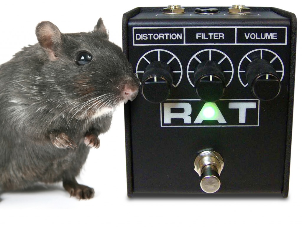Pro Co RAT review Cutaway Guitar Magazine