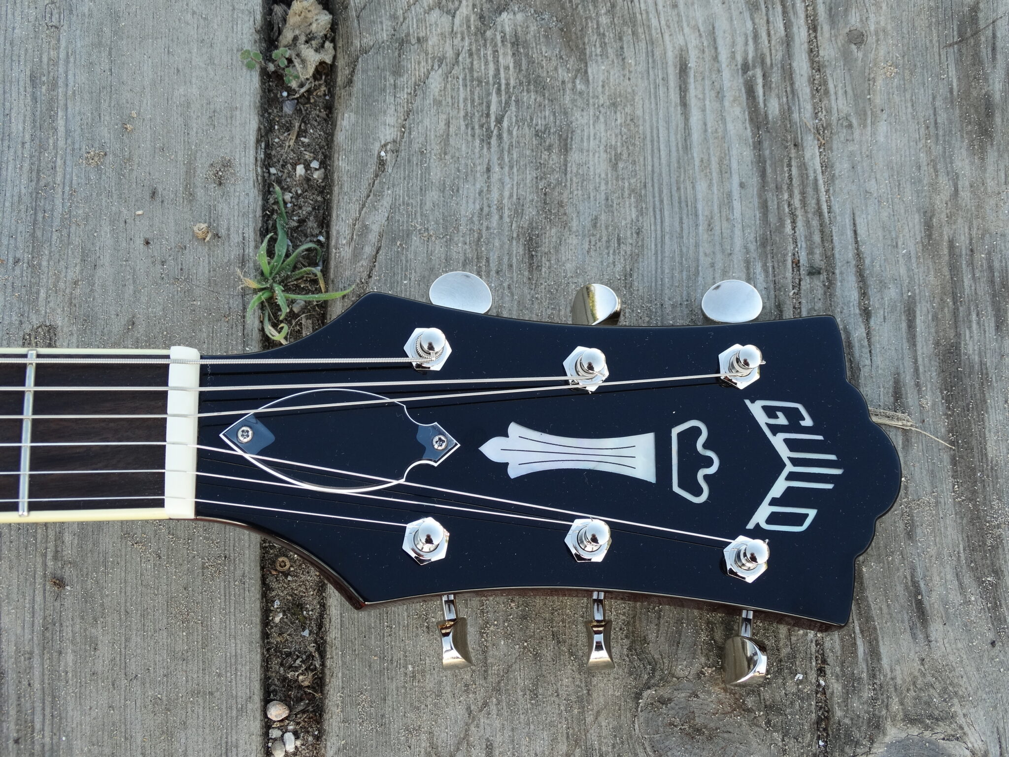 Guild T-50 Slim - Cutaway Guitar Magazine